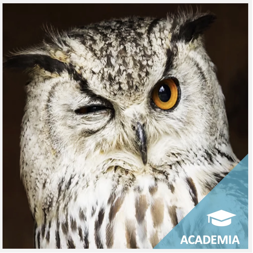 Capsule Endoscopy Capacitation Course - Owl Eyes Academy